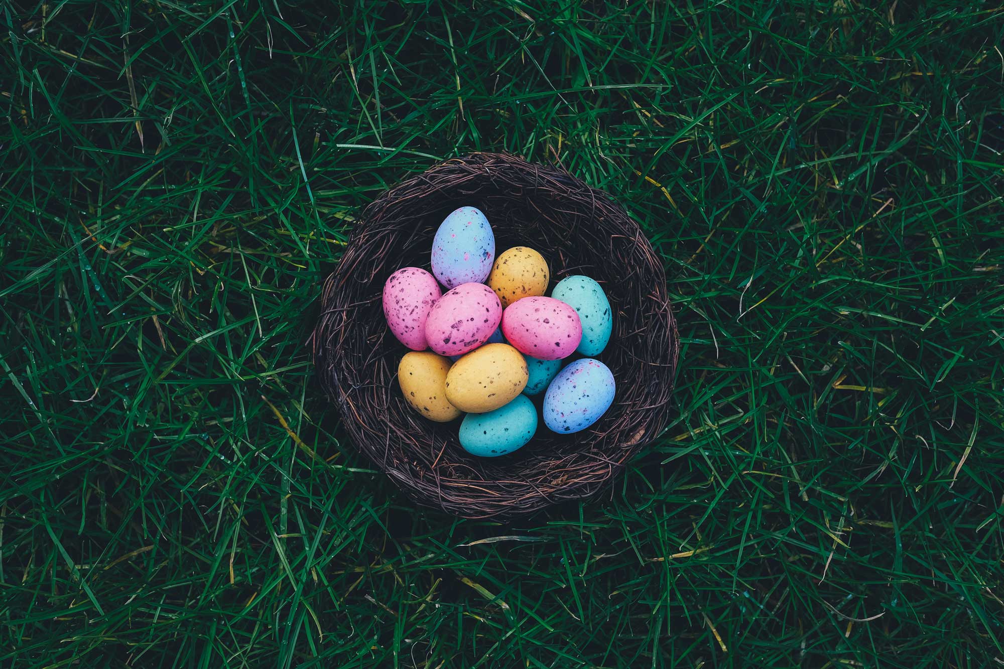 Best Family Easter Activities in the Boston Area - Consider it Done.