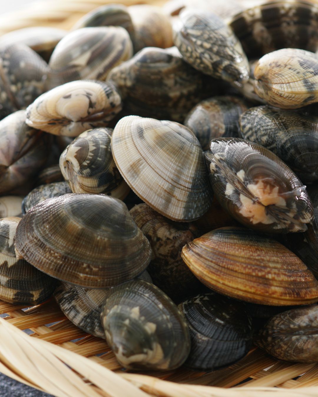 A Simplified Guide to Shellfishing on Cape Cod - Consider it Done.